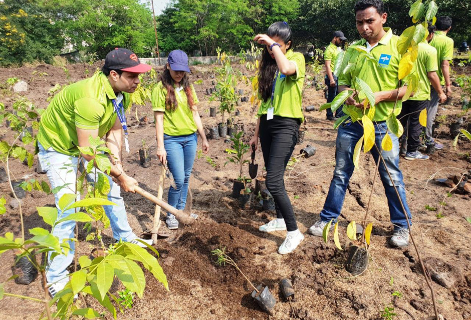 Miyawaki Gallery| Green Yatra